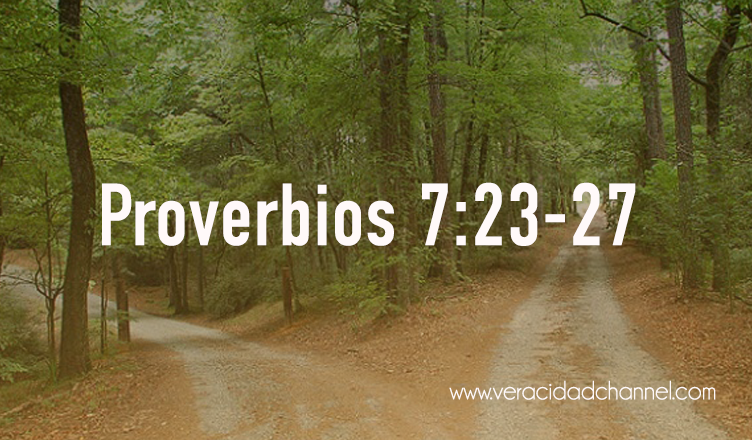 Palabras de sabiduría 61 | Proverbios 7:23-27 - VERACIDAD CHANNEL