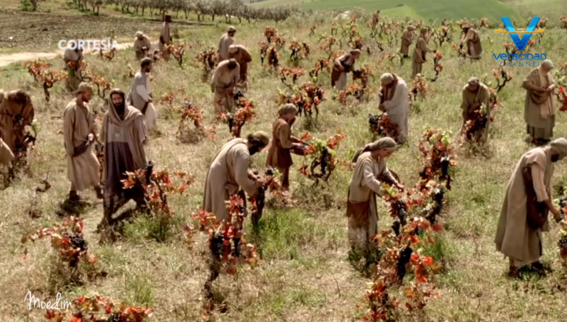 Moedim, Ep. 5 | La fiesta de las primicias (Yom Habikkurim) - VERACIDAD ...